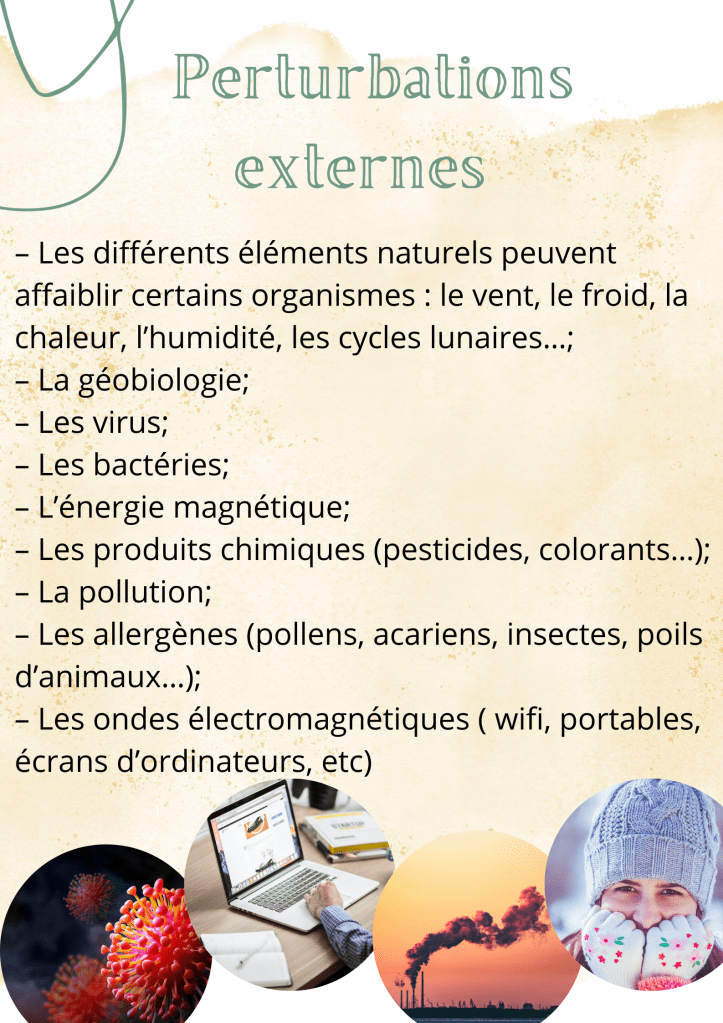 Méthode JMV ® – Amenaturopathe